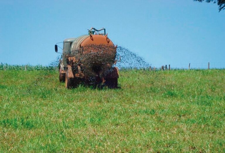 Adubação orgânica em destaque – Copérdia